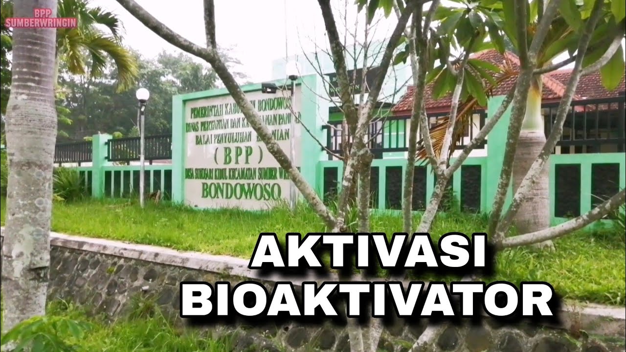 Aktifasi Bioaktivator | Solusi Mengatasi Kelangkaan Pupuk - YouTube