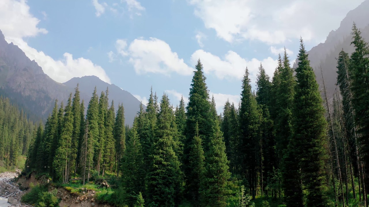 Left Talgar gorge (ущелье Левый Талгар) - YouTube