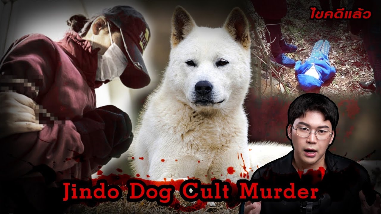 “Jindo Dog Cult Murder” แม่ผู้งมงาย กับลูกโชคร้ายที่ถูก “ปีศาจ” เข้าสิง ...