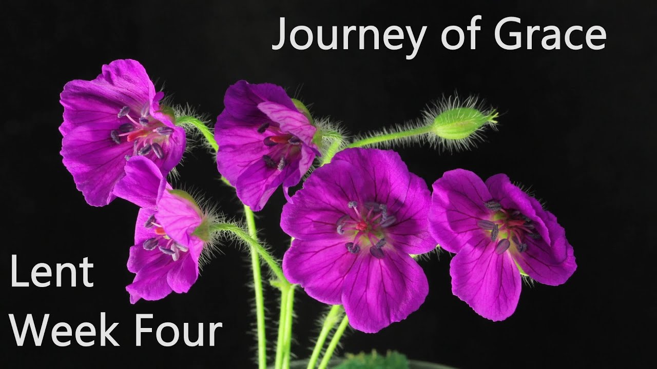 Lent Journey of Grace - Week Four Lent Year A - YouTube