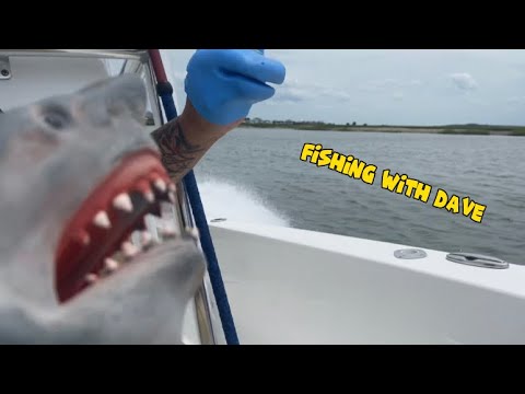 SHARK PUPPET GOES FISHING WITH DAVE@SharkPuppet - YouTube
