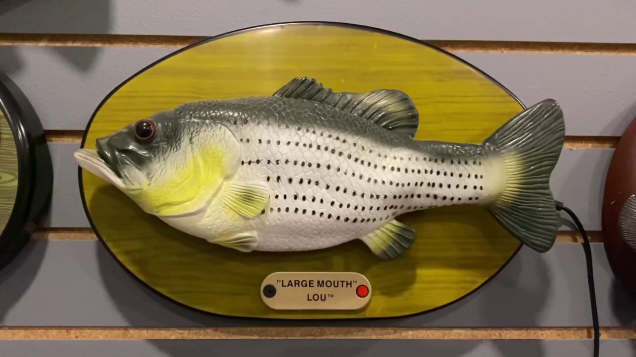 “Large Mouth Lou” singing fish - YouTube