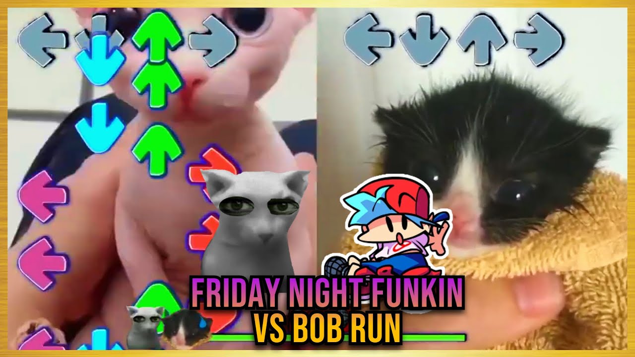 VS BOB RUN BUT BINGUS VS TOWEL KITTEN - Friday Night Funkin' Custom ...