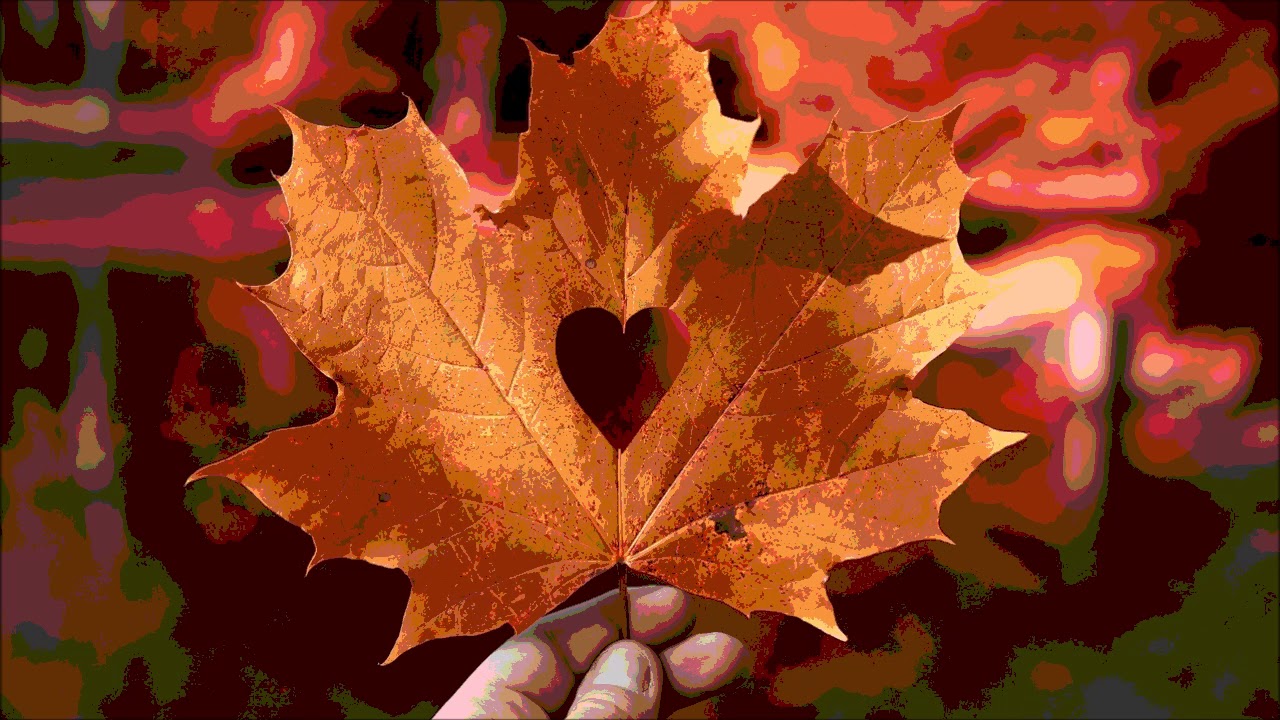 Paramore - Decode Cover by First To Eleven Sub Ingles Español - YouTube