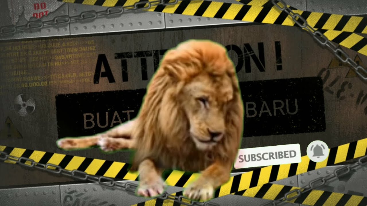 Green screen singa dan macan - YouTube