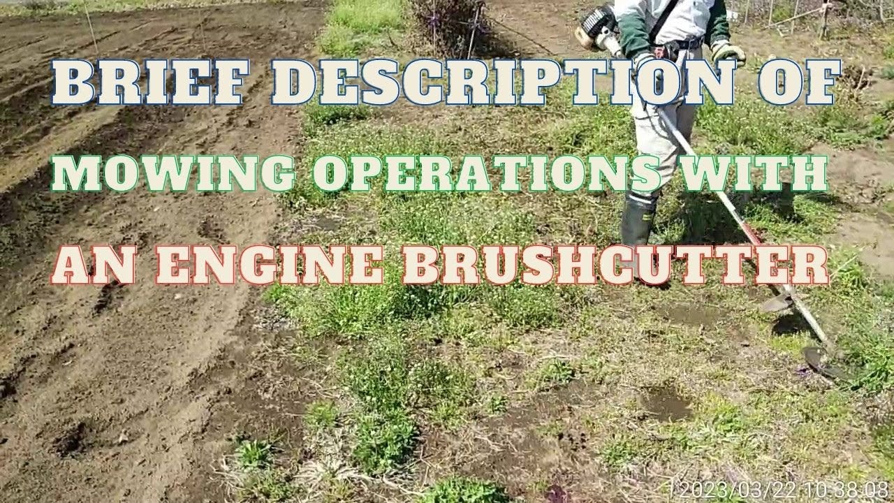 Brief description of mowing operations with an engine brushcutter ...