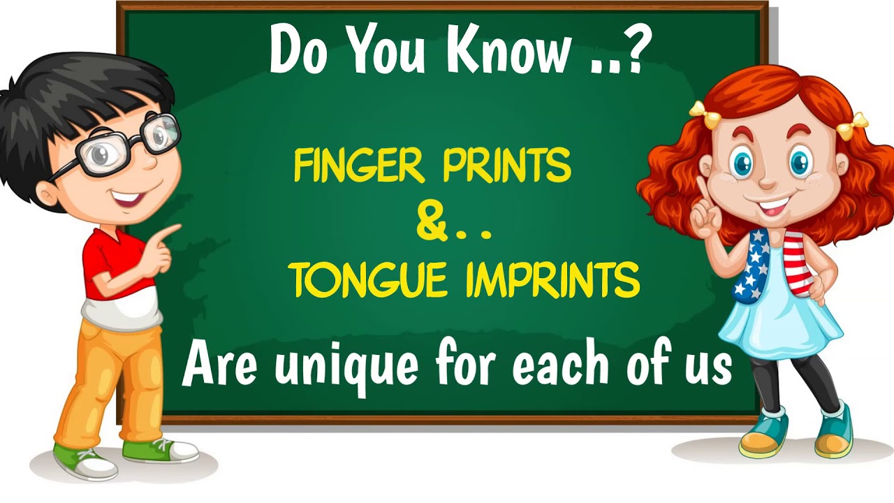 human-body-quiz-for-grade-3-10-human-body-trivia-questions-trivia