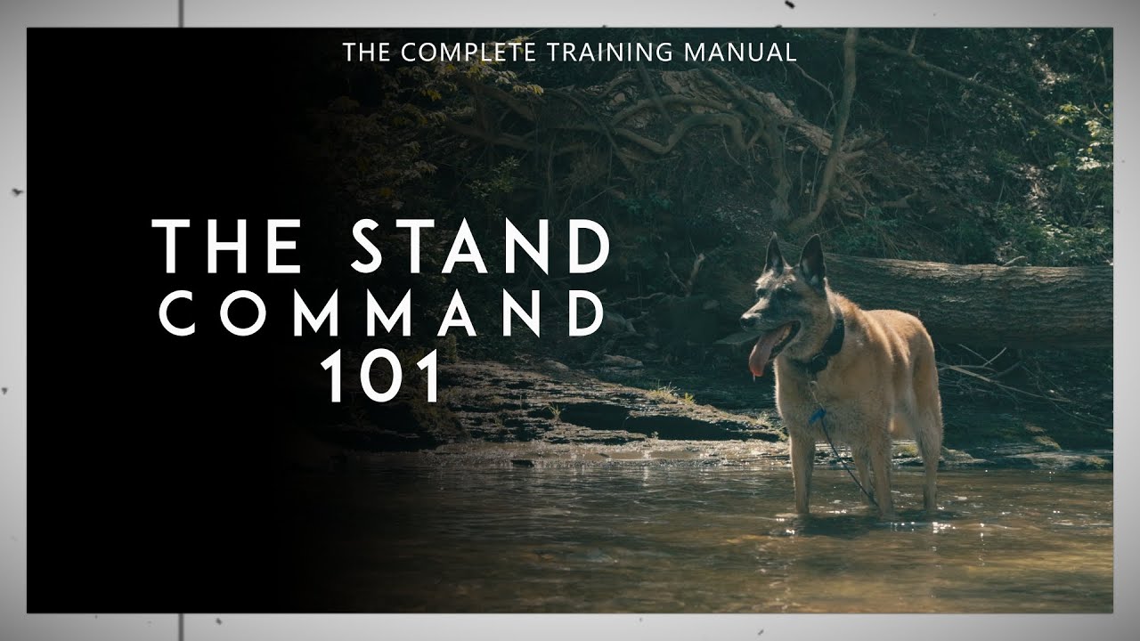 The Stand Command 101 - YouTube