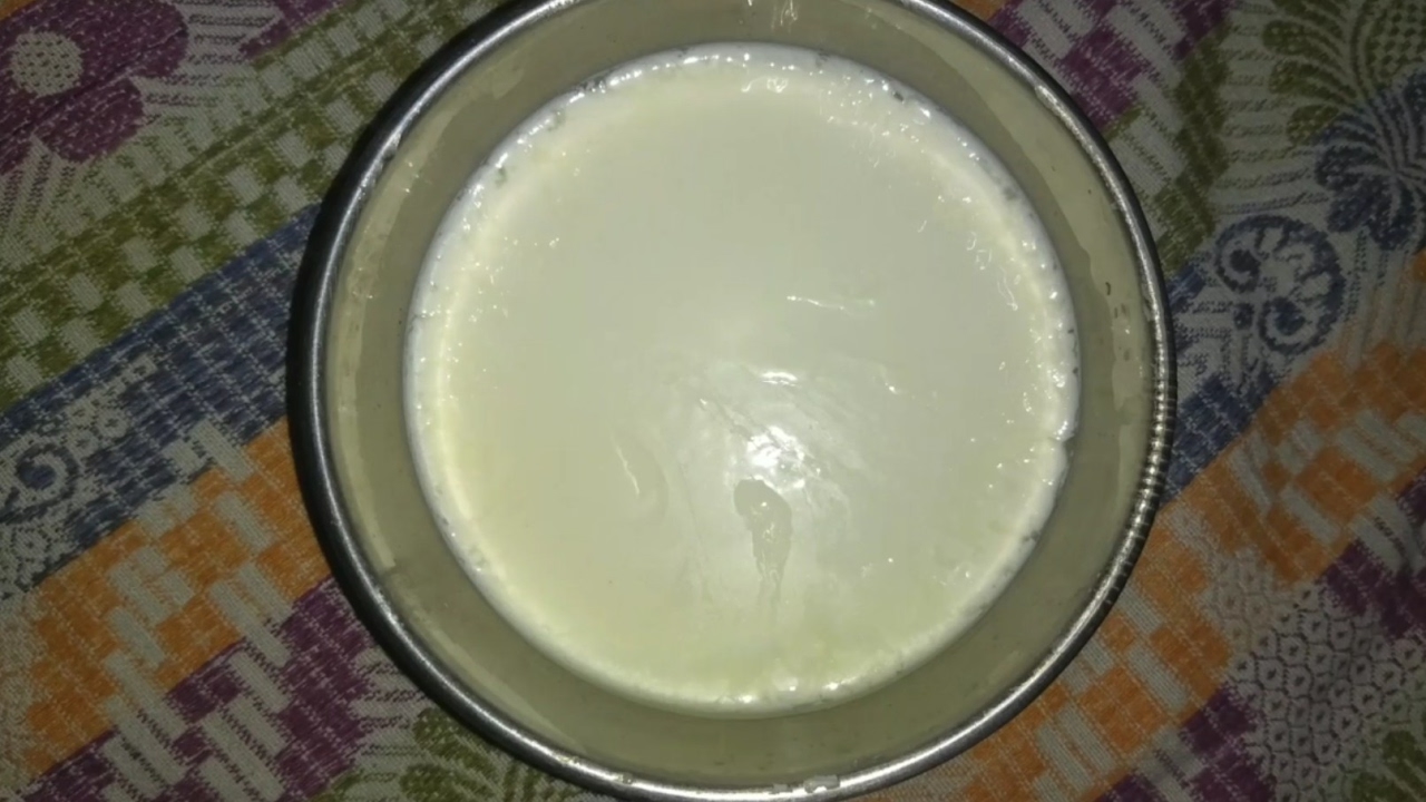 How to make Homemade Thick Curd(dahi) recipe II Creamy, tasty ...