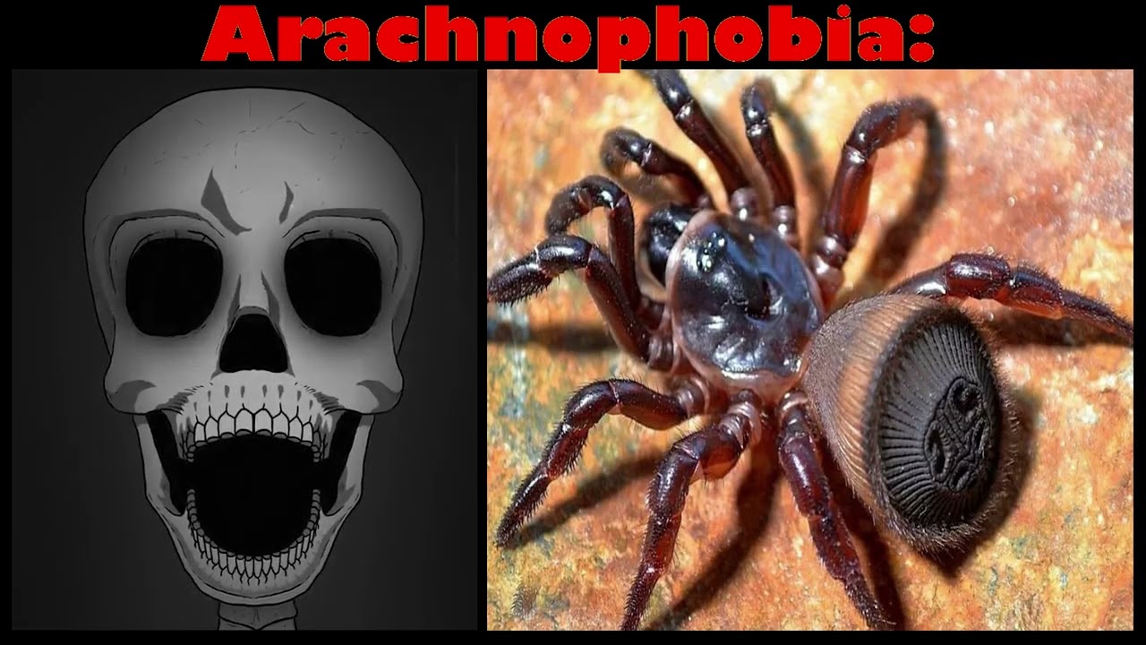 Mr Incredible Becoming Uncanny Meme (Arachnophobia) - YouTube