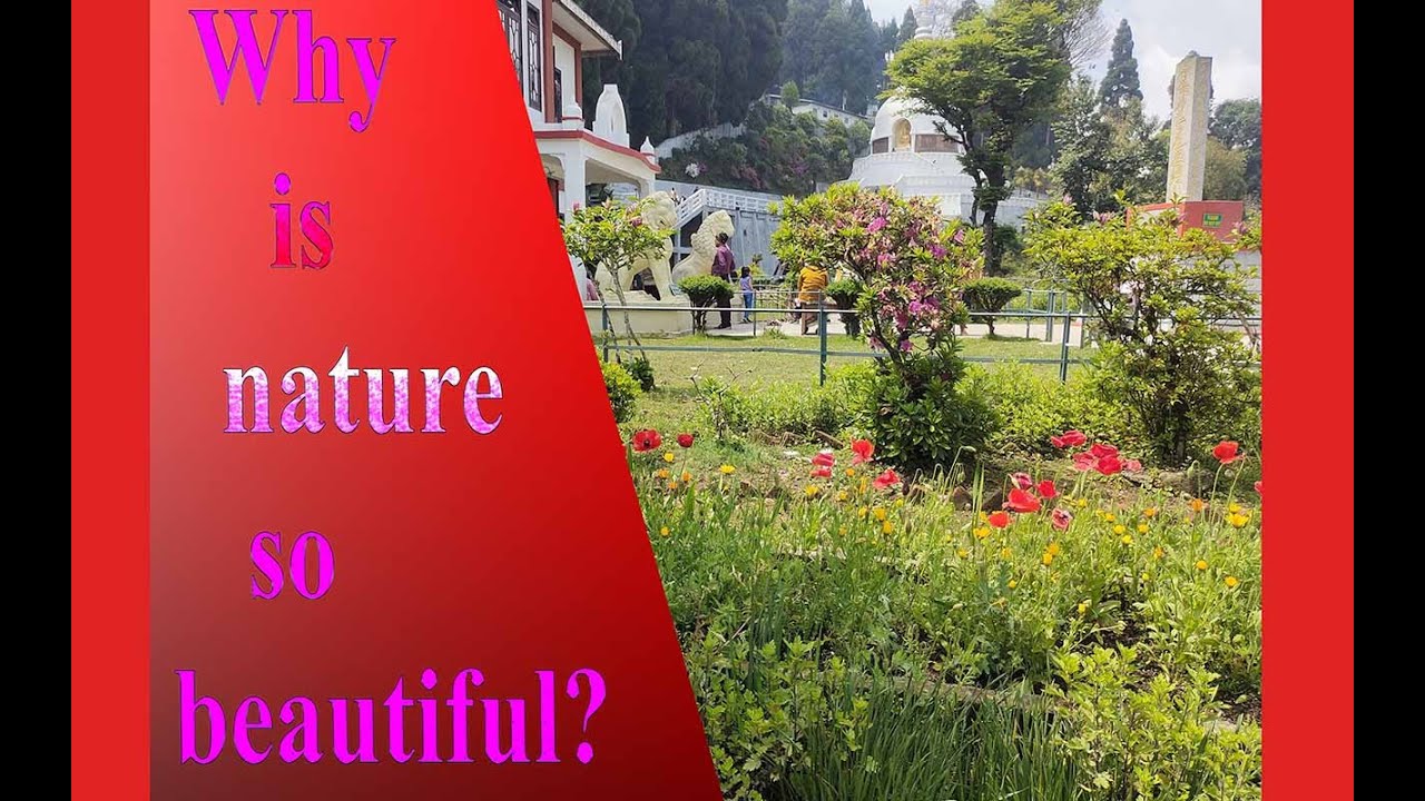 প্রকৃতি এত সুন্দর হয় কেন😀Why is nature so beautiful?😀গ্যাংটক সিকিম ...