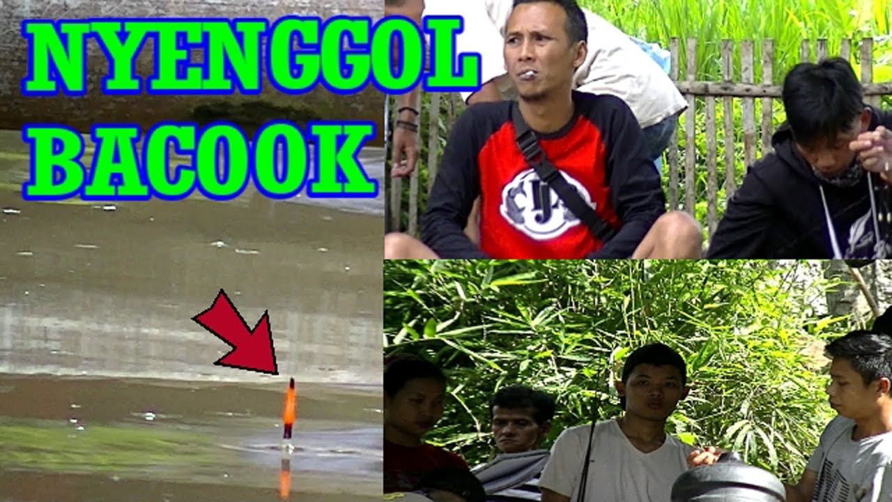 LOMBA MEMANCING IKAN MAS NYENGGOL BACOK - YouTube