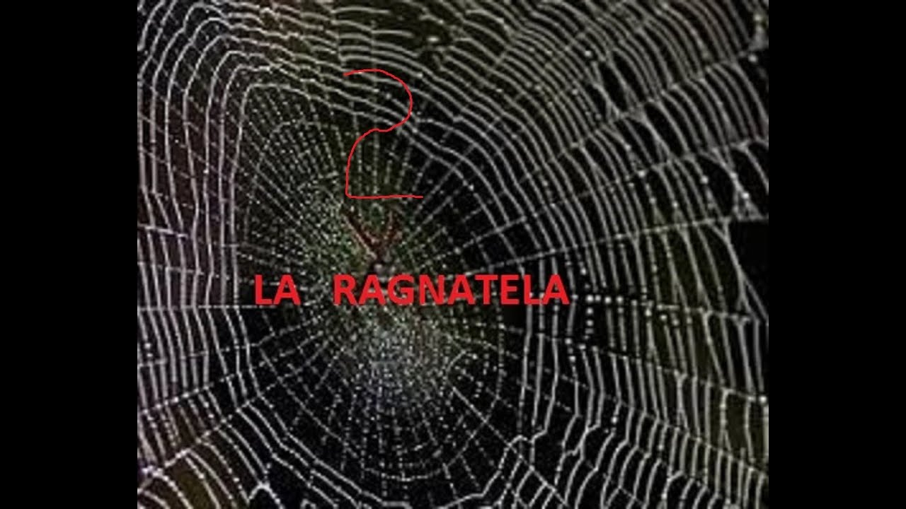 SCENEGGIATO TV "LA RAGNATELA" 1991 con A.Occhipinti - YouTube