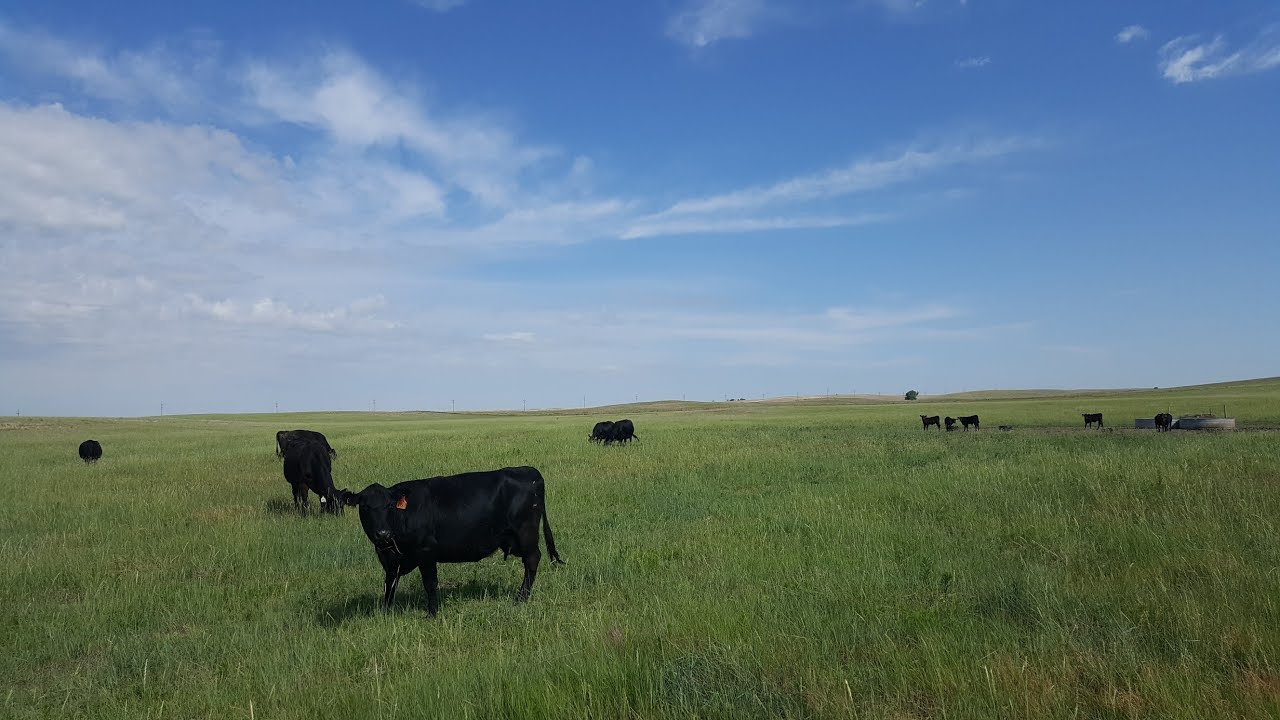 Nebraska Land For Sale | Garden County Range and Creek | Lewellen, NE ...