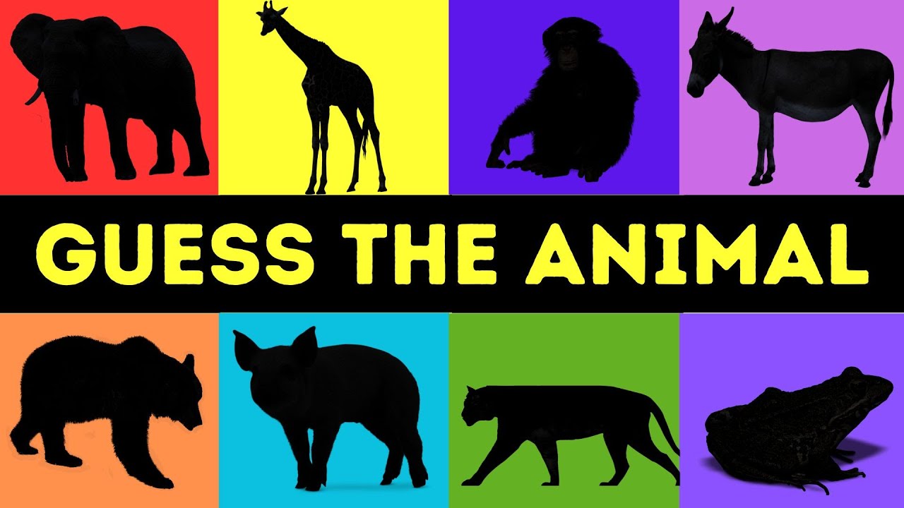 Guess 50 ANIMALS from their shadow! - YouTube