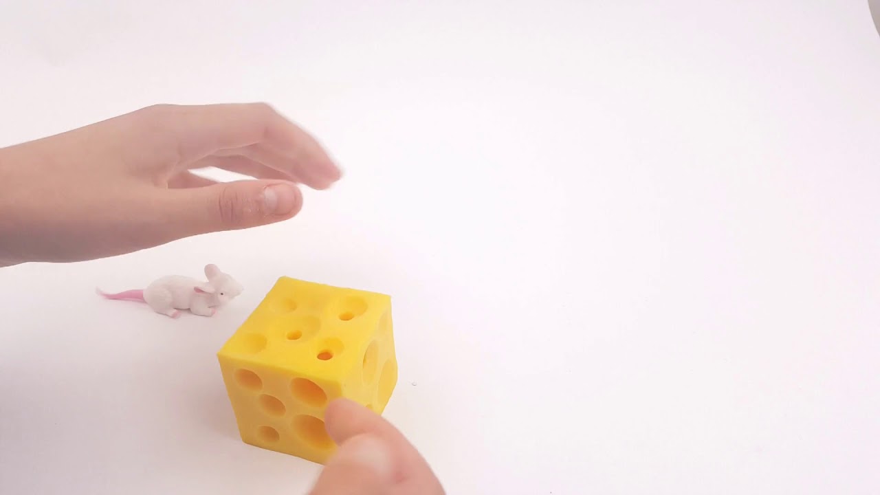 Squeeze Mouse and Cheese - YouTube