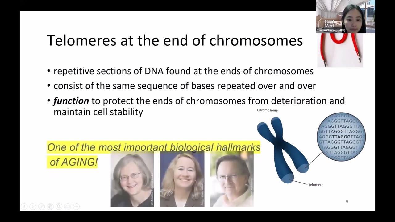 Using Telomere Length And Telomerase Activity As Markers Of Cellular