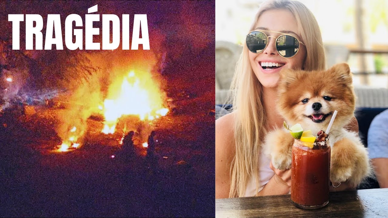 O Último Voo de Mariah Coogan | Uma modelo e Influenciadora Famosa ...