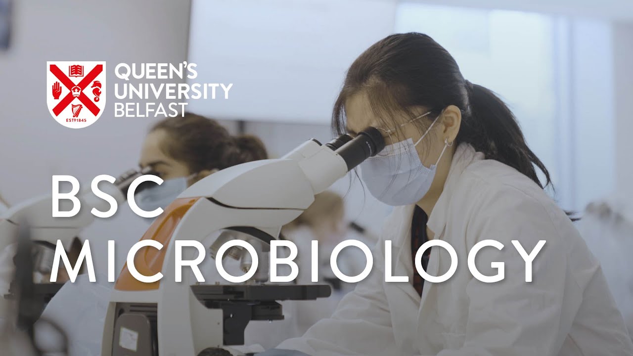 BSc Microbiology | MHLS | Queen's University Belfast - YouTube