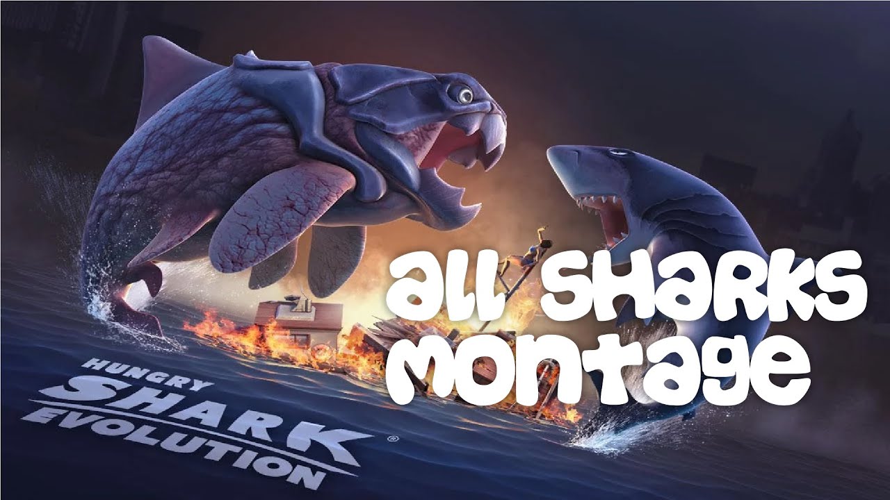 Hungry Shark Evolution - All Sharks + Special Sharks - YouTube