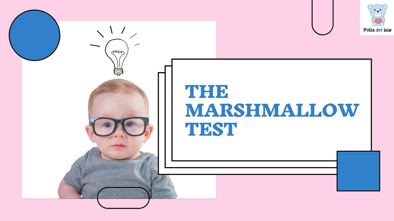 The Marshmallow Test / Toddler Marshmallow Challenge - YouTube