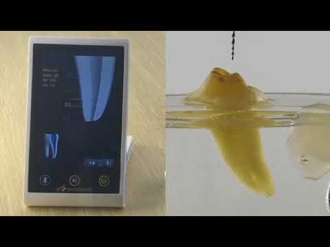 2 in 1 iRoot pro endo motor with Blue Tooth function - YouTube