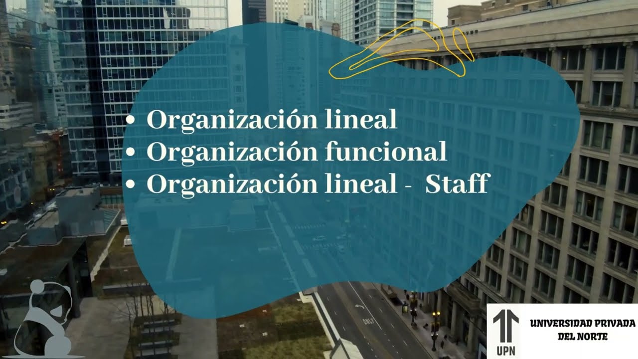 Organización lineal/ staff y caso aplicado a empresa - YouTube
