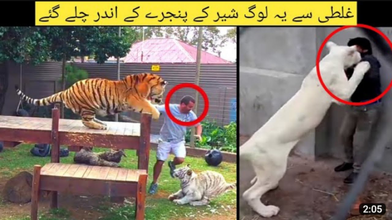 Rare Videos - YouTube