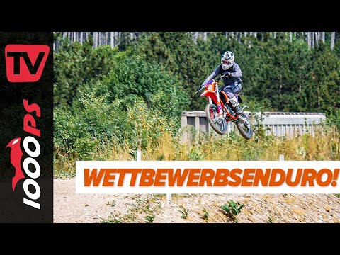 Sag bloß nicht Moped zu ihr! Beta 50 RR Racing Test 2021