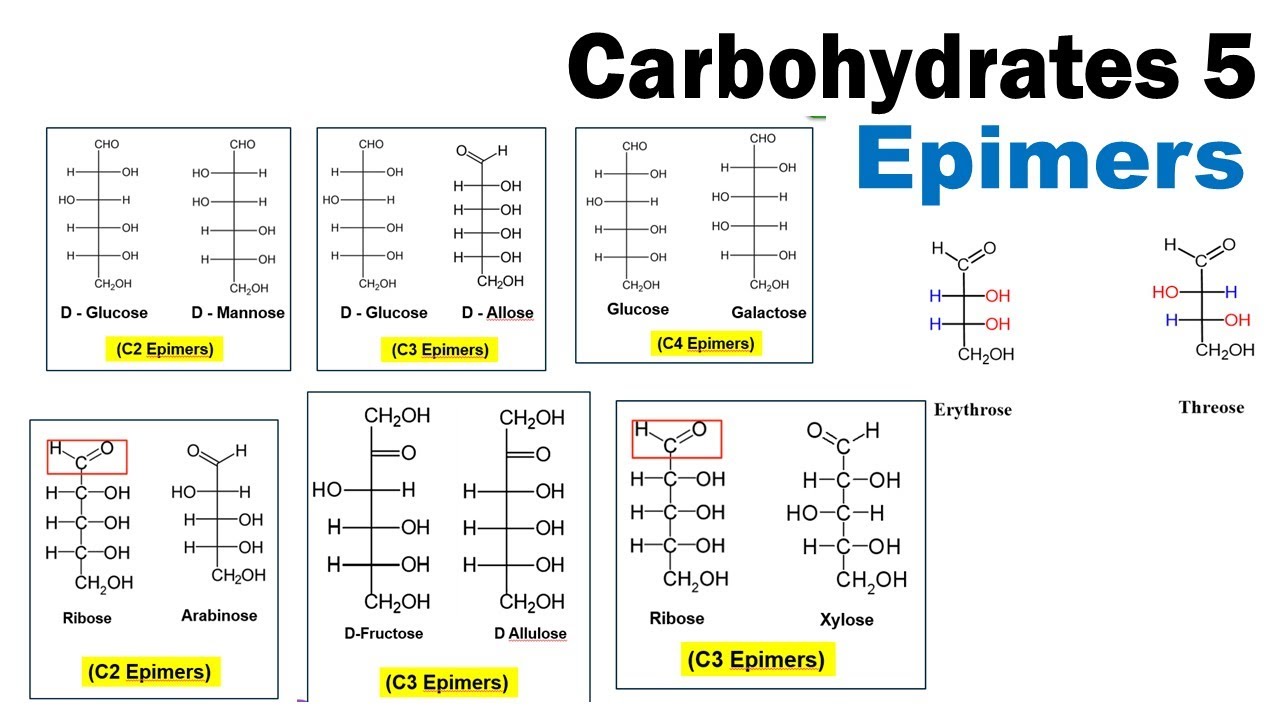 Carbohydrates 5 | Epimers | Stereoisomers | Isomerism in ...