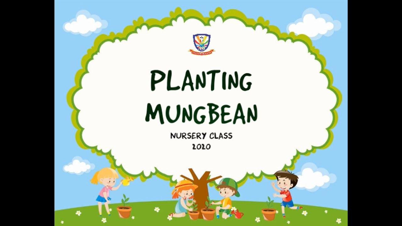 PLANT THEME ACTIVITY: MUNG BEANS GROWTH EXPERIMENT (NURSERY) - YouTube