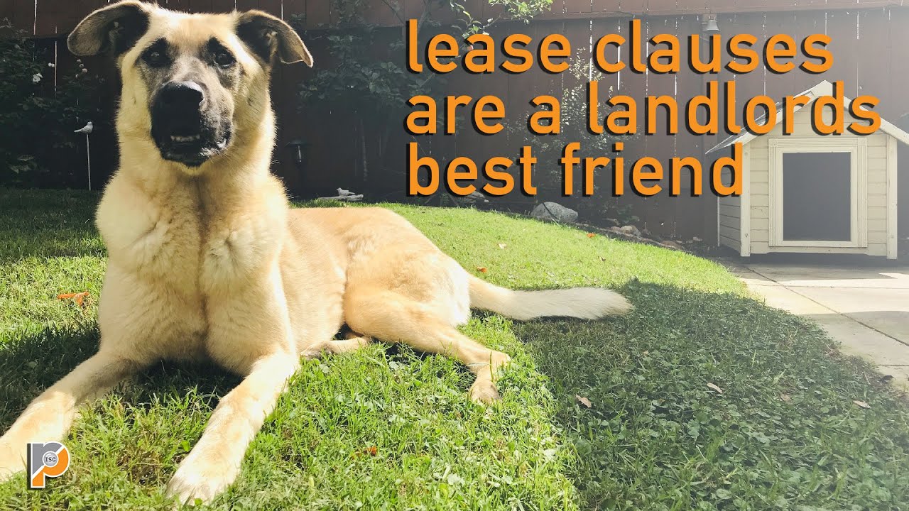 Ep. 116 Lease Clauses Are a Landlords Best Friend - YouTube