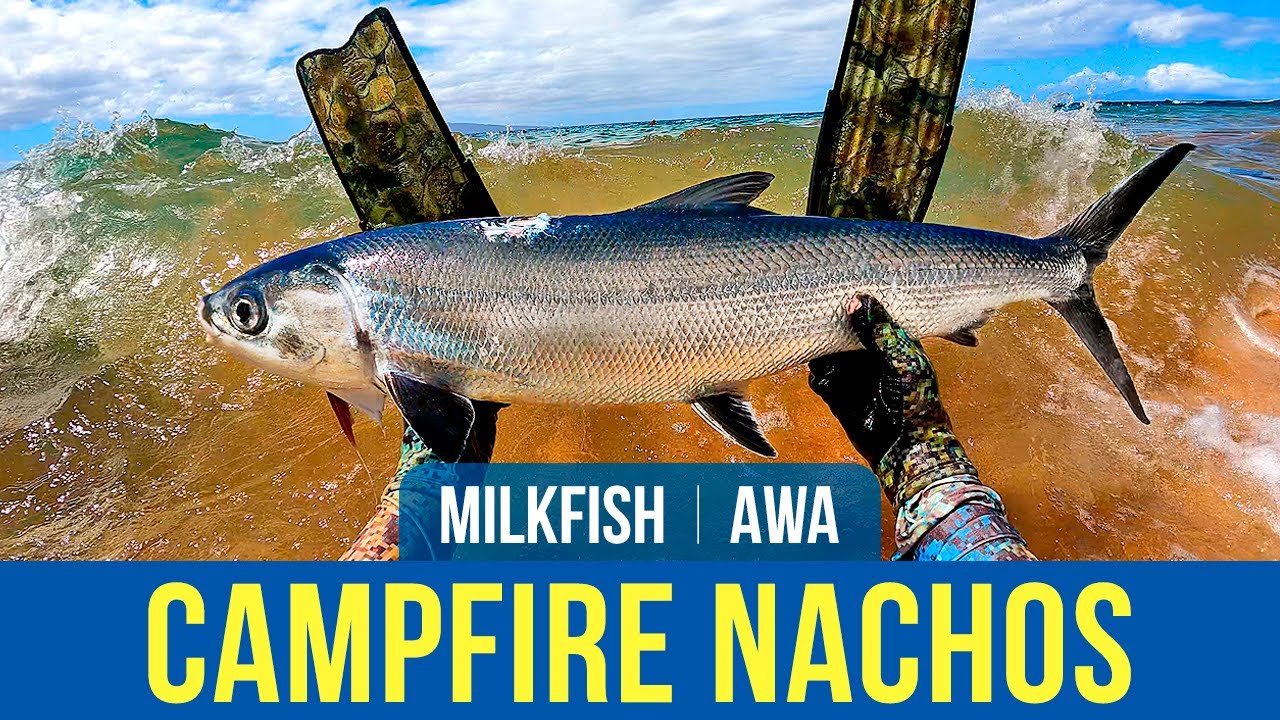 Campfire Fish Nachos – Milkfish Catch and Cook - YouTube