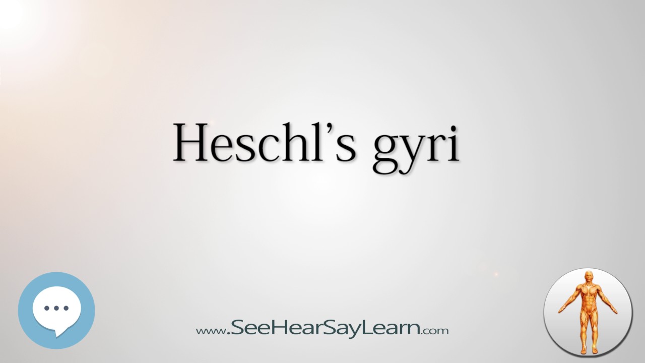 Heschl's gyri Anatomy Named After People 🔊 - YouTube