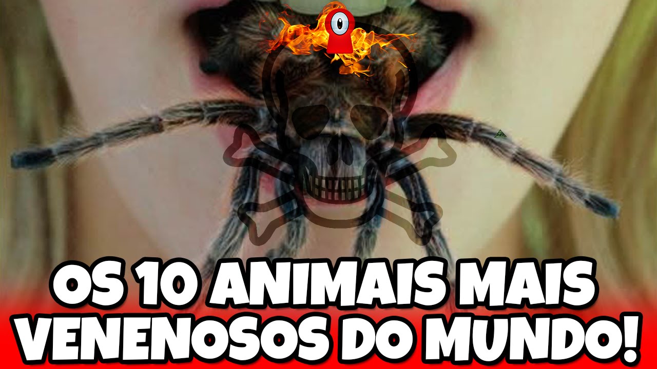 OS 10 ANIMAIS MAIS VENENOSOS DO MUNDO - YouTube