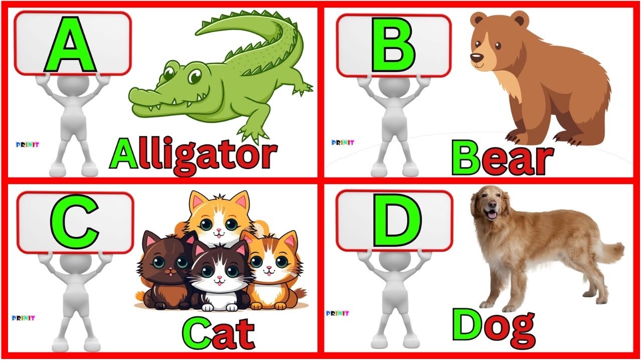 English alphabet ABCD A to z/animals abcd/a for alligator - YouTube
