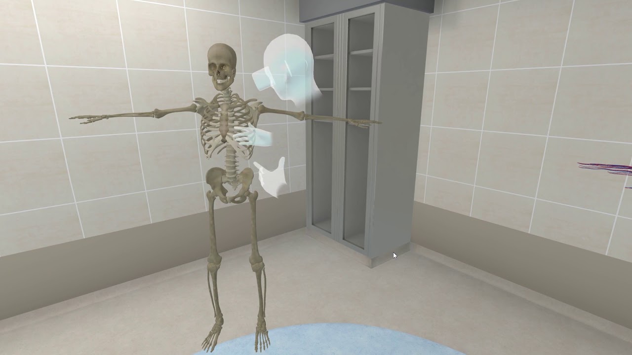 VR Presentation: Basic Bones Overview by Bill Ballo - YouTube