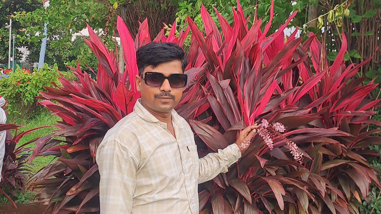 Mrs Deepak Bandana live hai || Kripya Aap Shamil Ho Jaye subscribe my ...