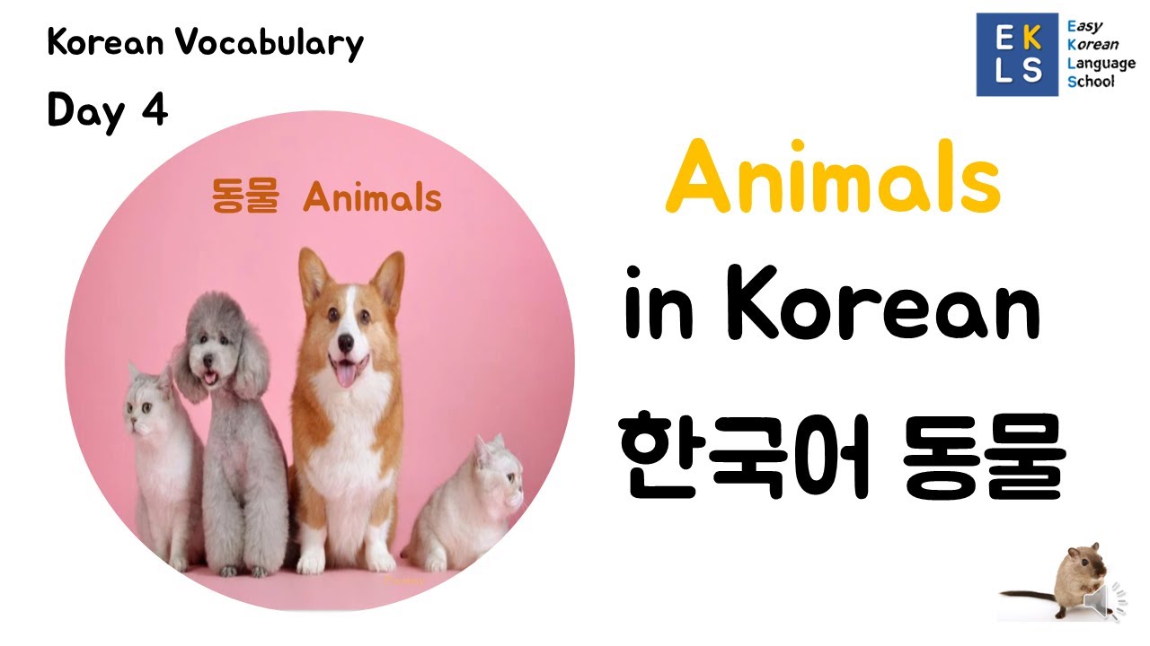 Korean Vocabulary (Day 4) 32 popular animals in Korean (한국어 동물) - YouTube