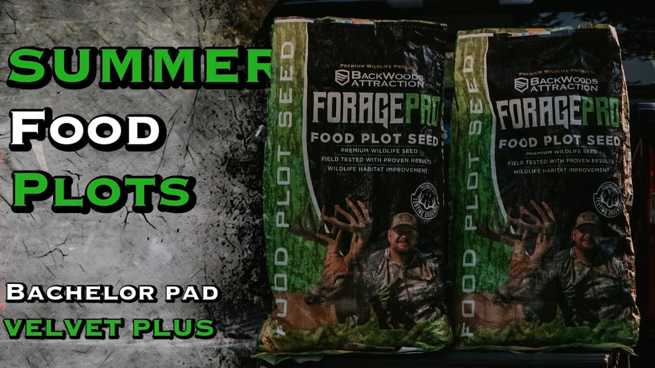 BACKWOODS SUMMER FOOD PLOTS - YouTube