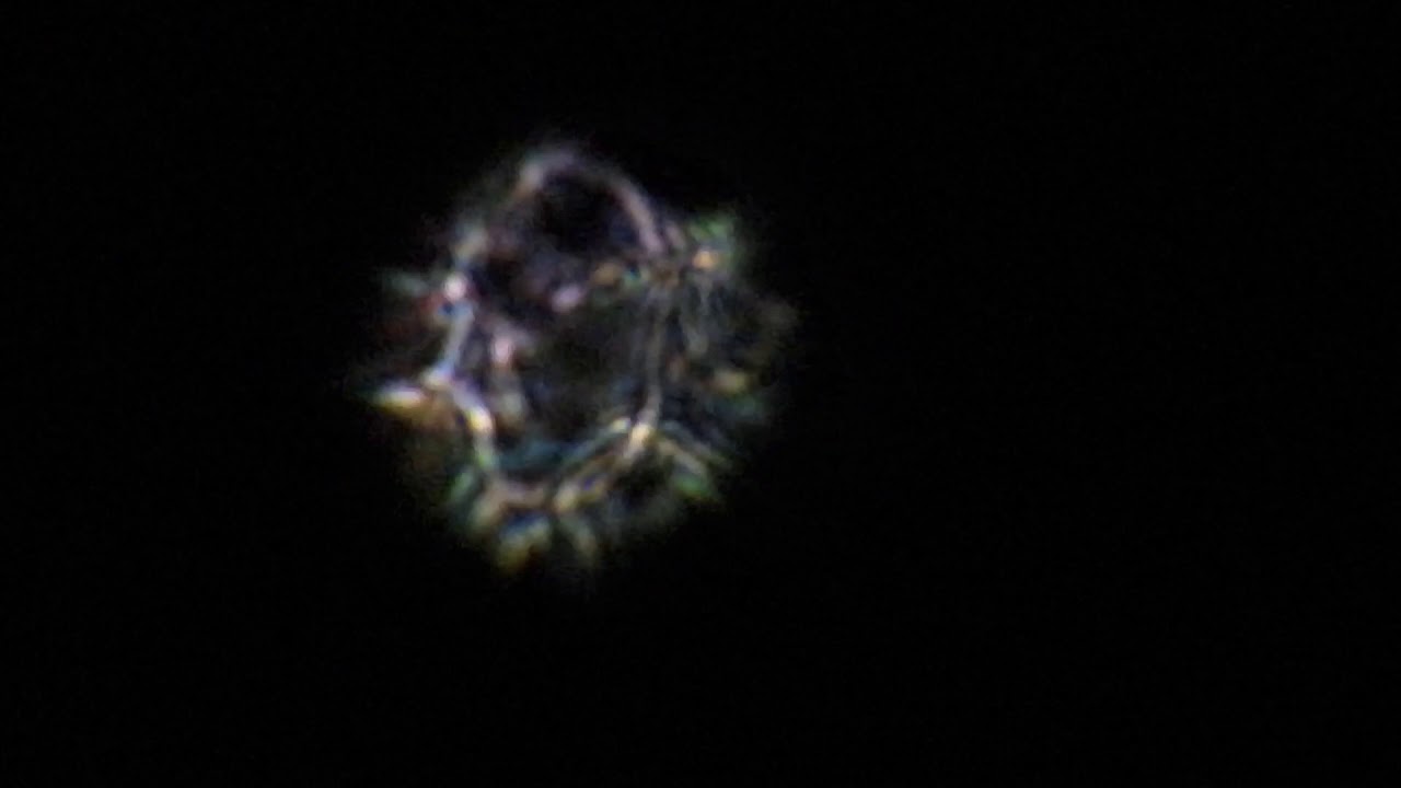 Wandering Stars - Nikon P1000 - YouTube