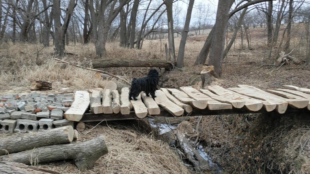 DIY Bridge Build for Cheap - YouTube