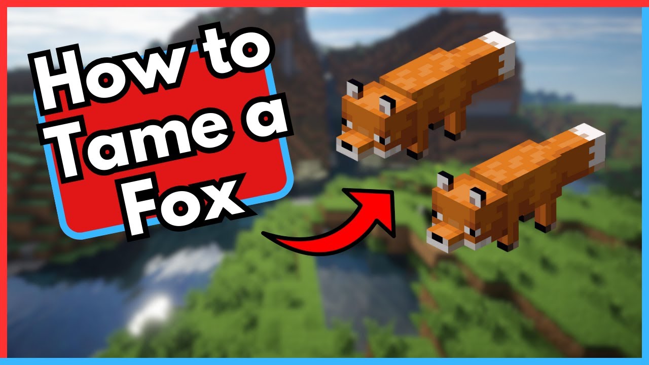 How to Tame a Fox in Minecraft - YouTube
