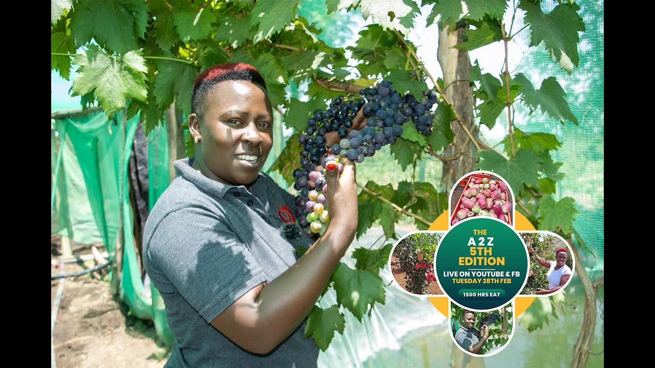 A TO Z OF WAMBUGU FARM || EPISODE 5 - YouTube