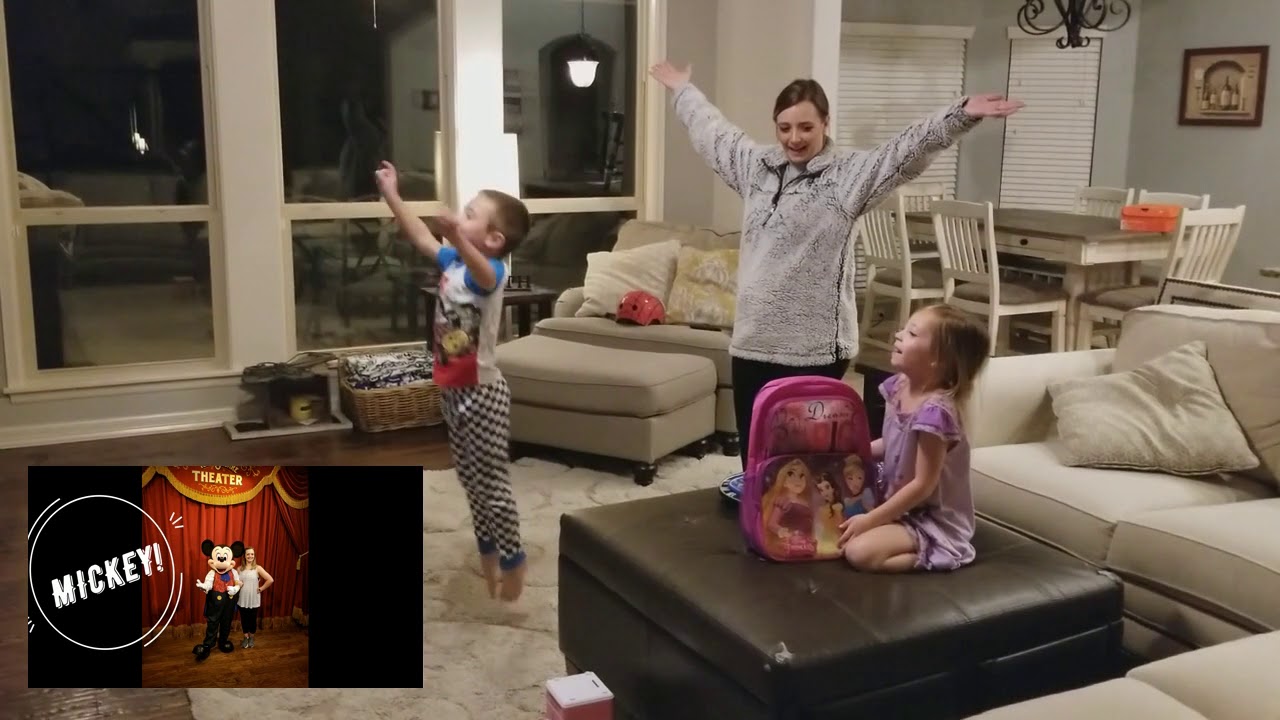 Disney Reveal Palmer Twins 2018 v2 - YouTube