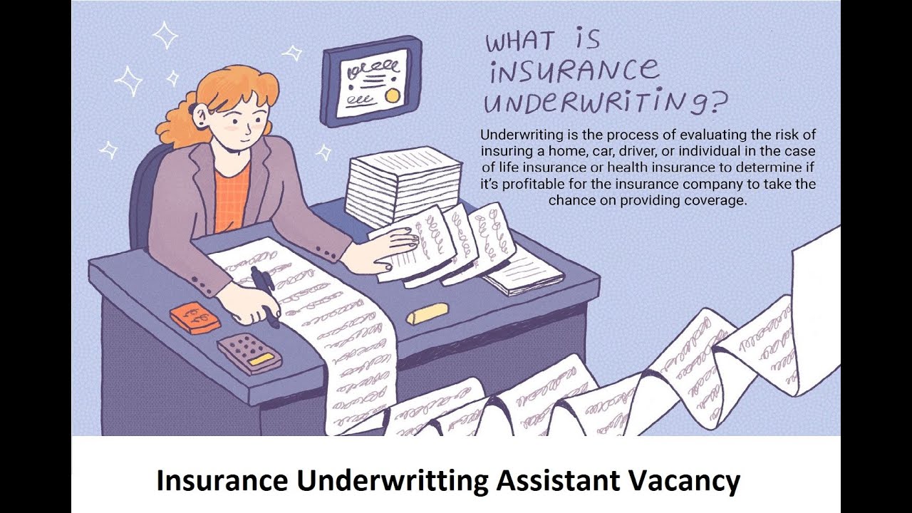 Insurance Underwriter Assistant Required with good Excel skills - YouTube