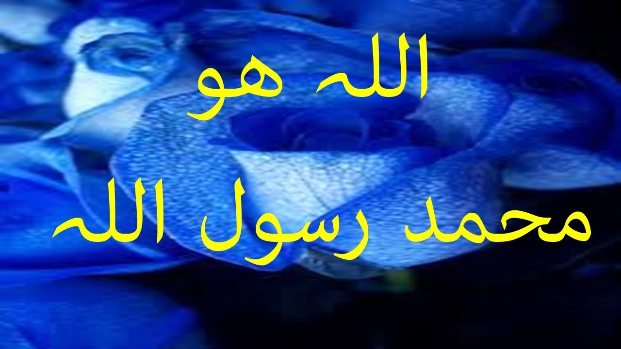 23 درود|drood pak|salam|salat o salam|darood status|darood e pak ...