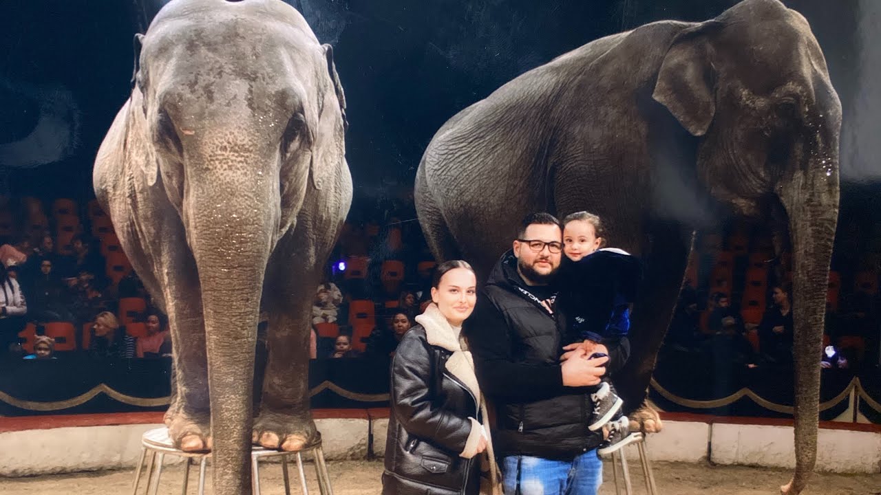 bikarovic Gábinka v cirkuse - YouTube