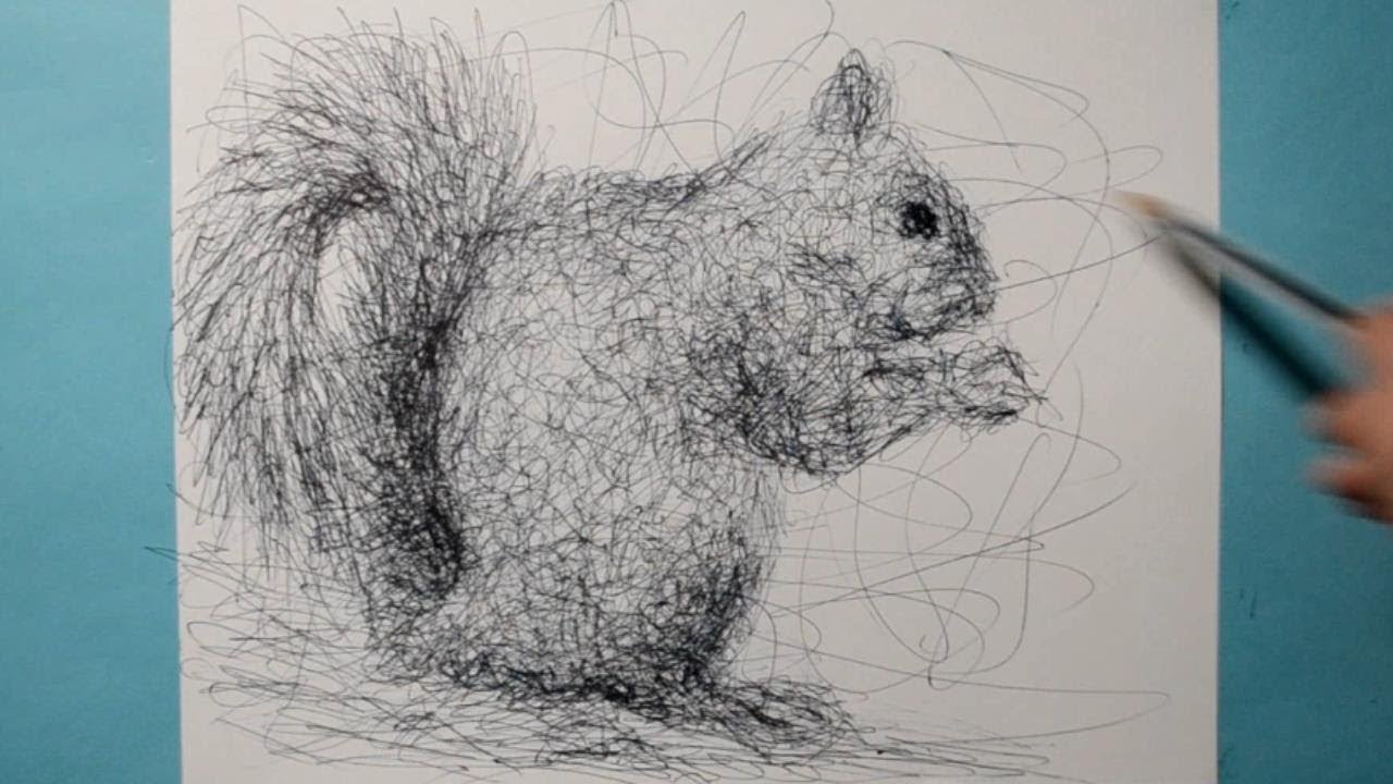 How to Draw a Realistic Squirrel / Ballpoint Pen Drawing / Fun Scribble ...