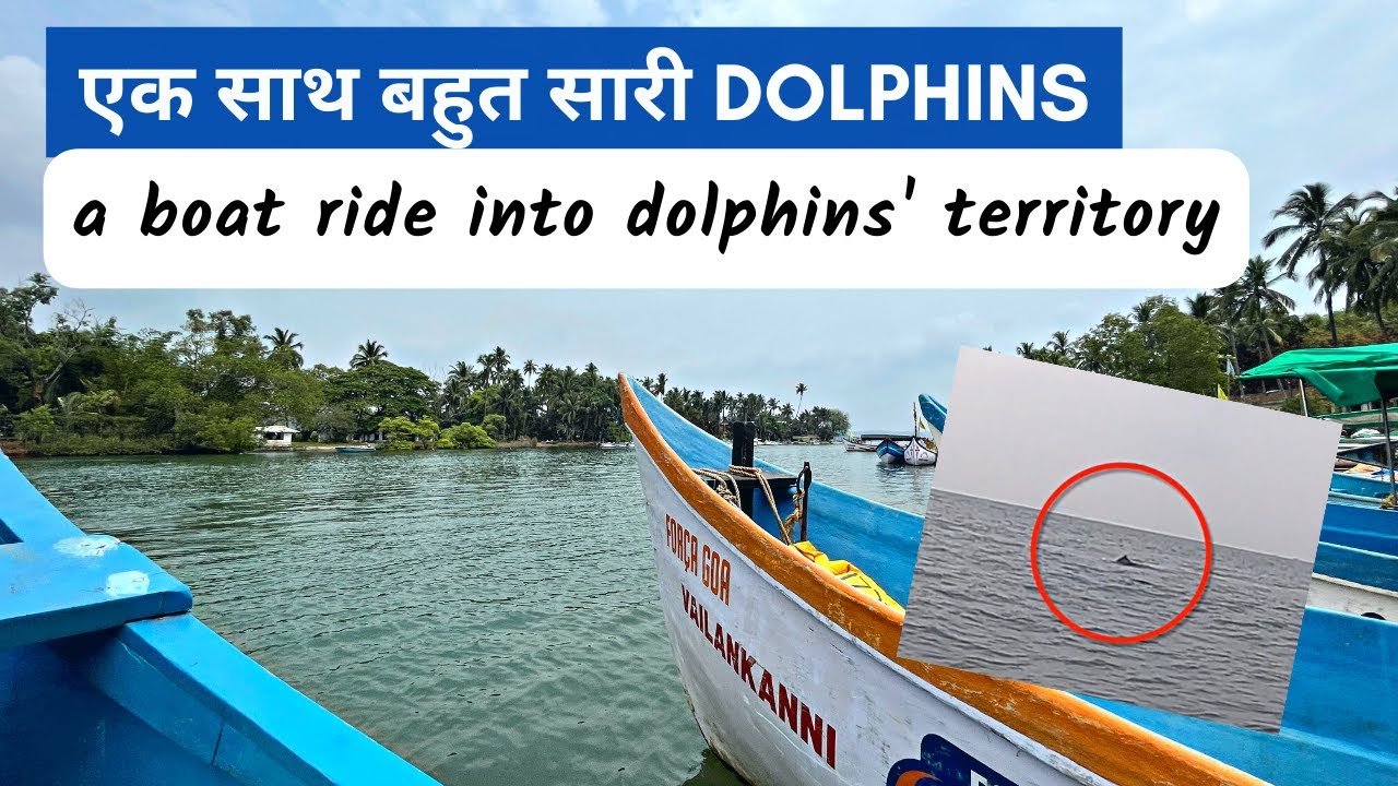 EP8 - Dolphin boat ride in Arabian Sea Coco Beach | Don't miss this in ...